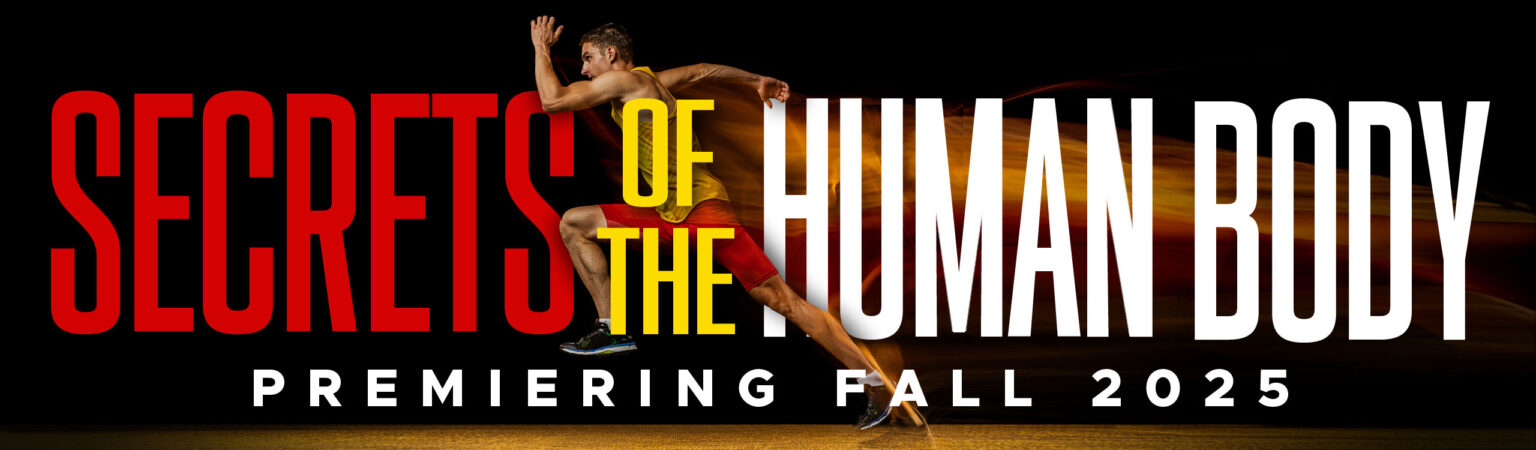 Secrets of the Human Body