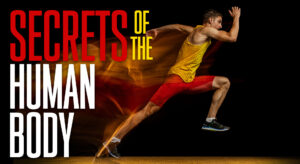 Secrets of the Human Body
